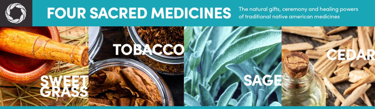 Four Sacred Medicines | American Indian Health Service of Chicago, Inc.